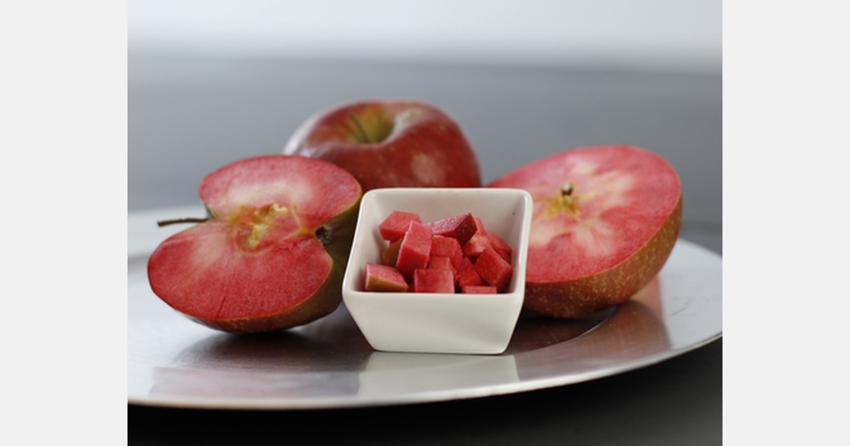 First Australian commercial crop of Red Moon® apples to be planted next ...