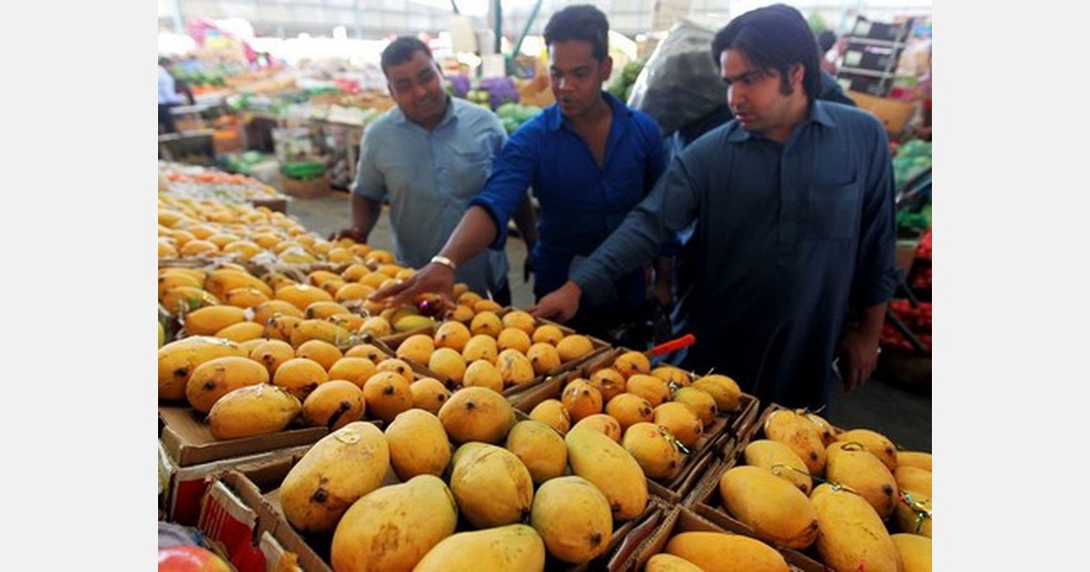 Pakistani mangoes arrive in UAE, some weeks late