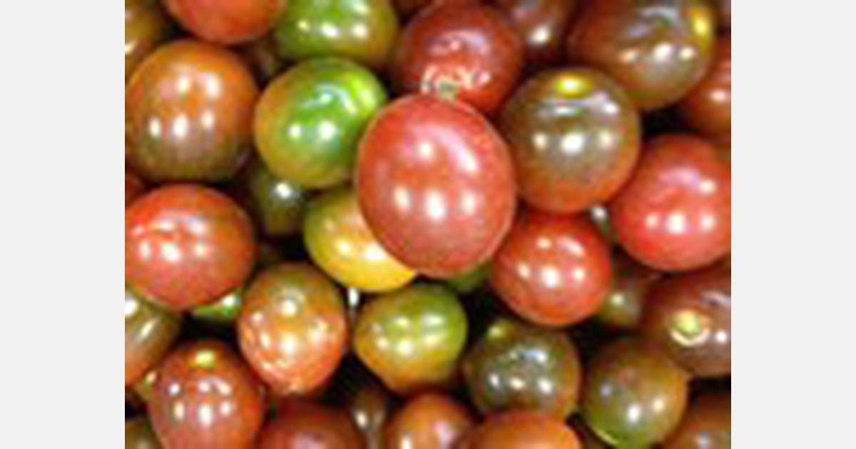 Ministry bans Jordanians from bringing Syrian fruits & vegetables into ...