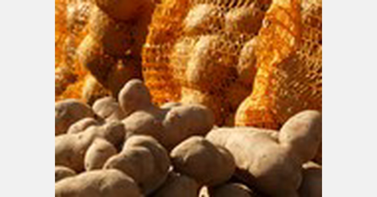 Mart Group & ProSource Combine into single potato/onion supplier