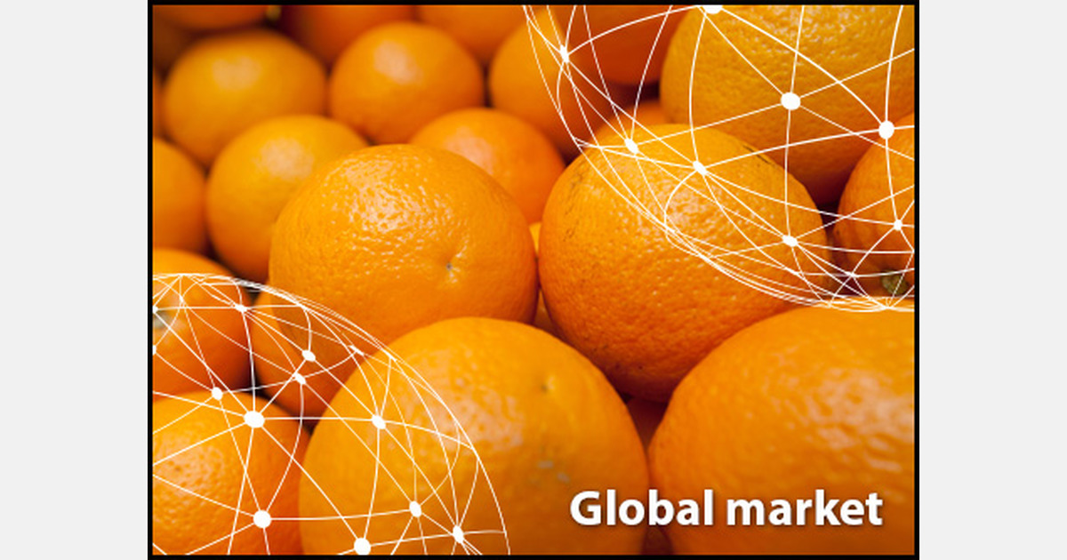 OVERVIEW GLOBAL ORANGE MARKET