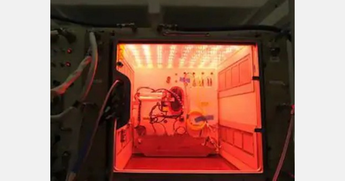 NASA: First fruit grown in space to spice-up astronauts' menu