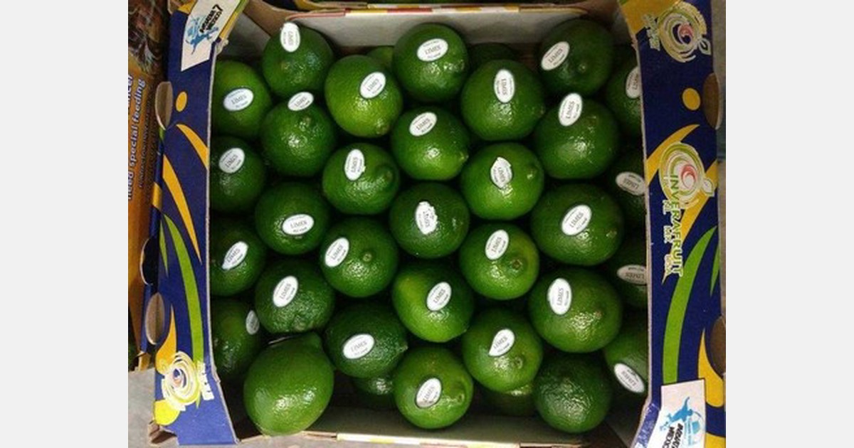 Lime prices high in all export markets