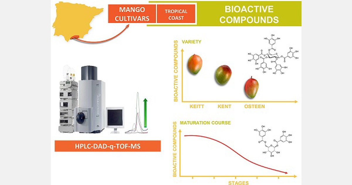 Bioactive compounds profile depends on mango variety