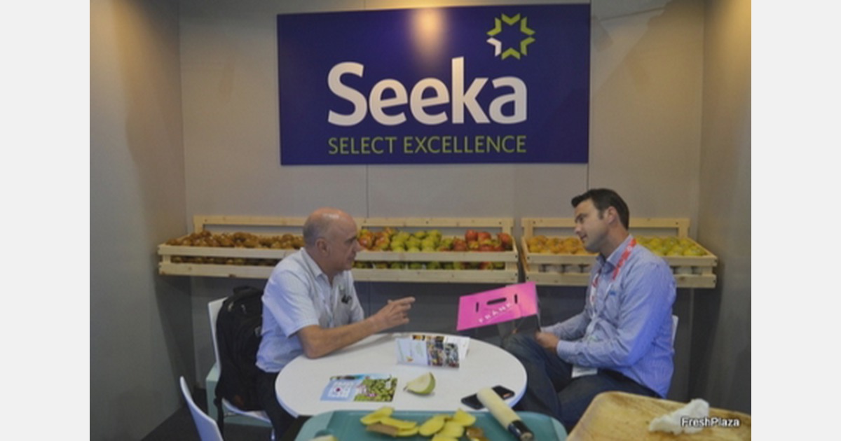 Seeka to introduce Rico pears to the market this year