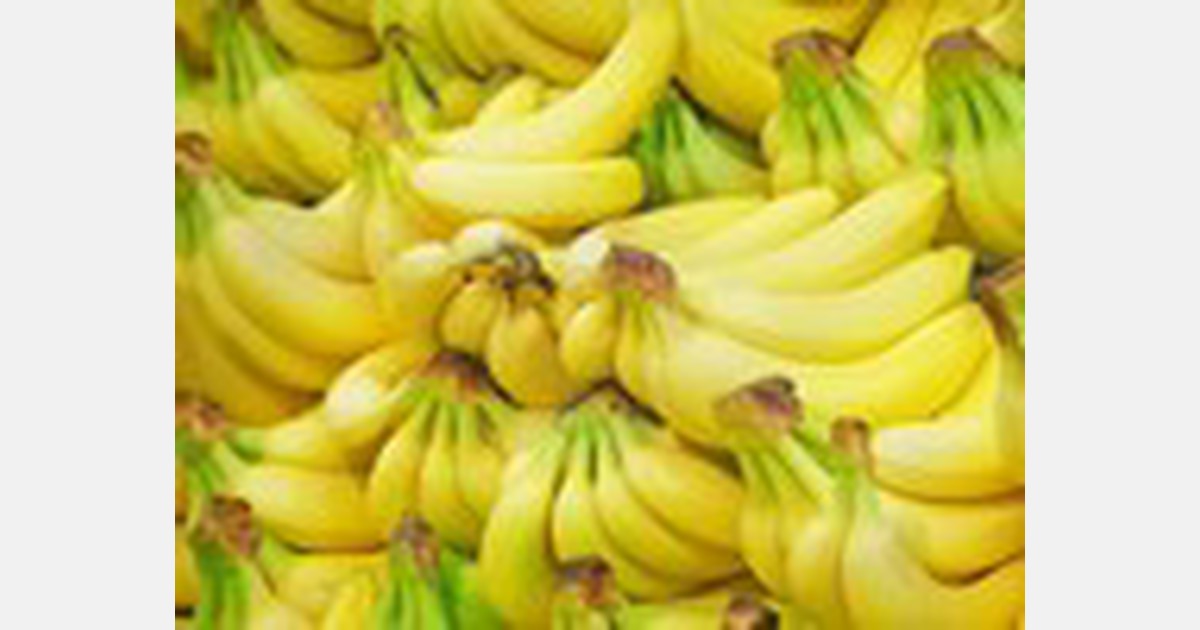 Weather again thwarts Samoan banana exports