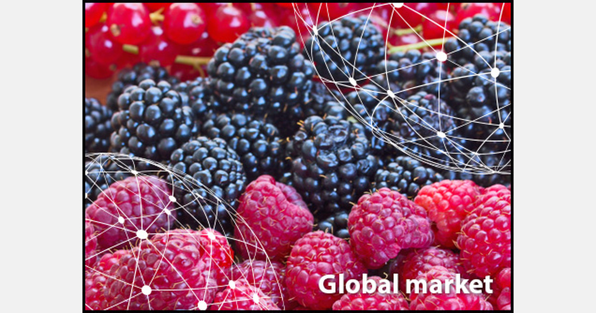 OVERVIEW GLOBAL BERRY MARKET