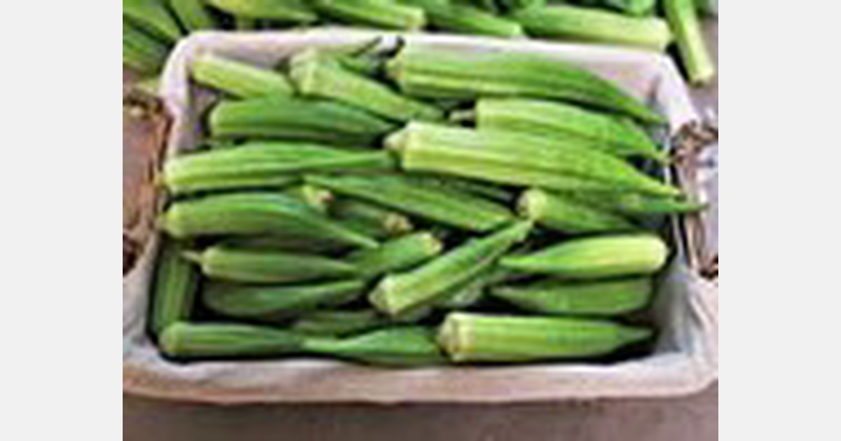 Okra - the long history of this 'new' vegetable on our plates