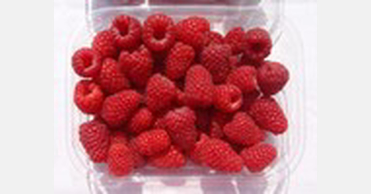 Crop specialists create new breeding protocol for raspberries
