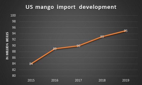 US mango imports show a steady increase year over year