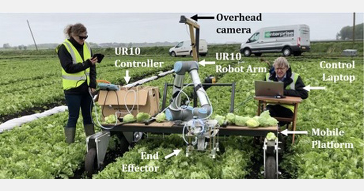 Vegebot, robotic harvesting system for iceberg lettuce