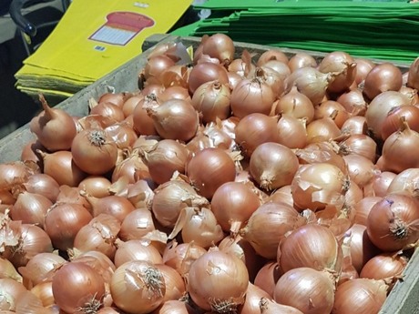 New Zealand onion exporter looking to take advantage of growing global ...