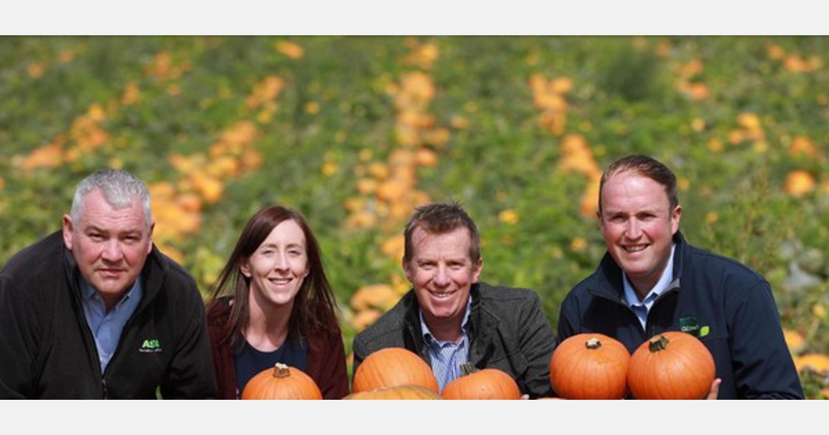 Asda to sell locally grown pumpkins this autumn