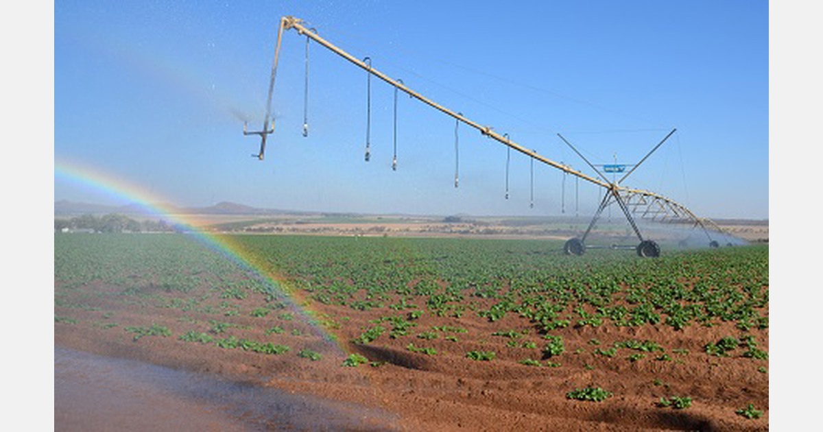 SA potato industry ready to broaden its horizons