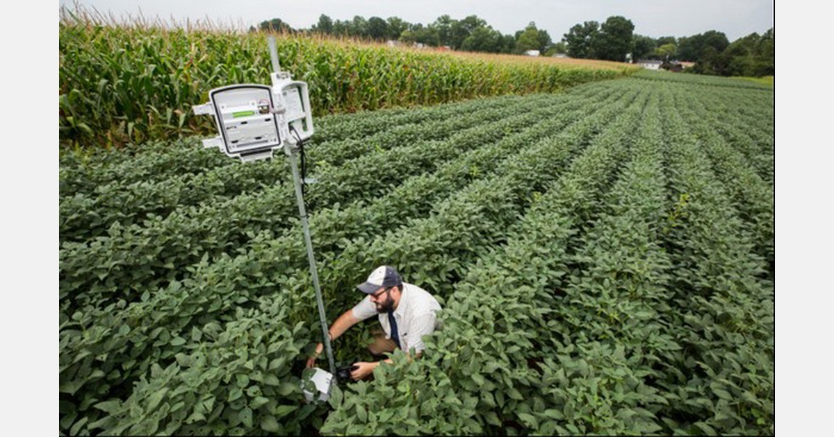 New 'Farmbeats' project uses AI to increase grower efficiency
