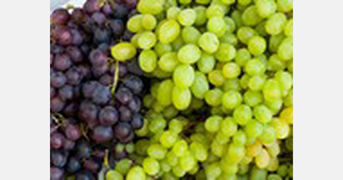 USDA announces plans to purchase $30 million in fresh table grapes