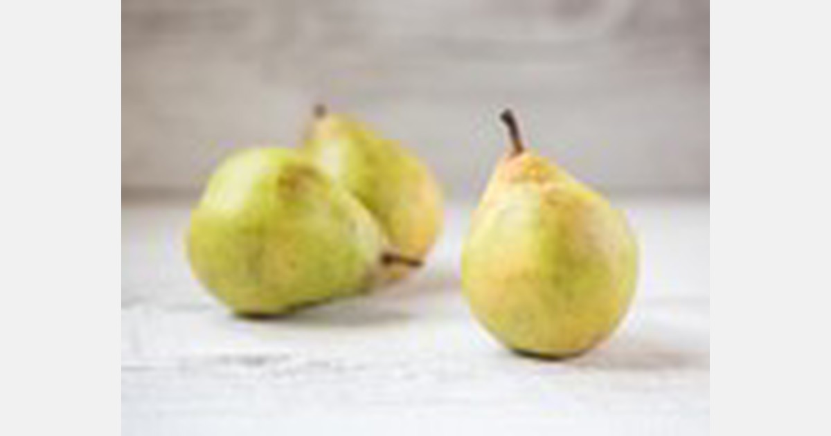 How to make pears blush: The effect of light on new pear cultivars