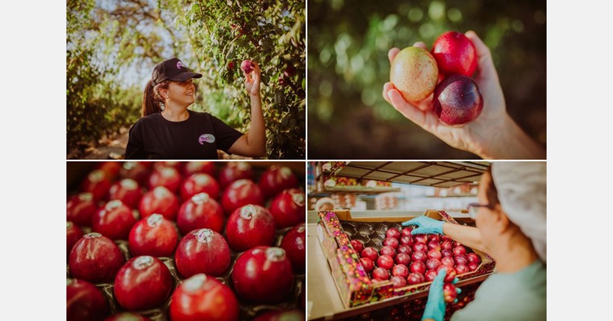 "Special plum Metis® completes our range and expands the season"