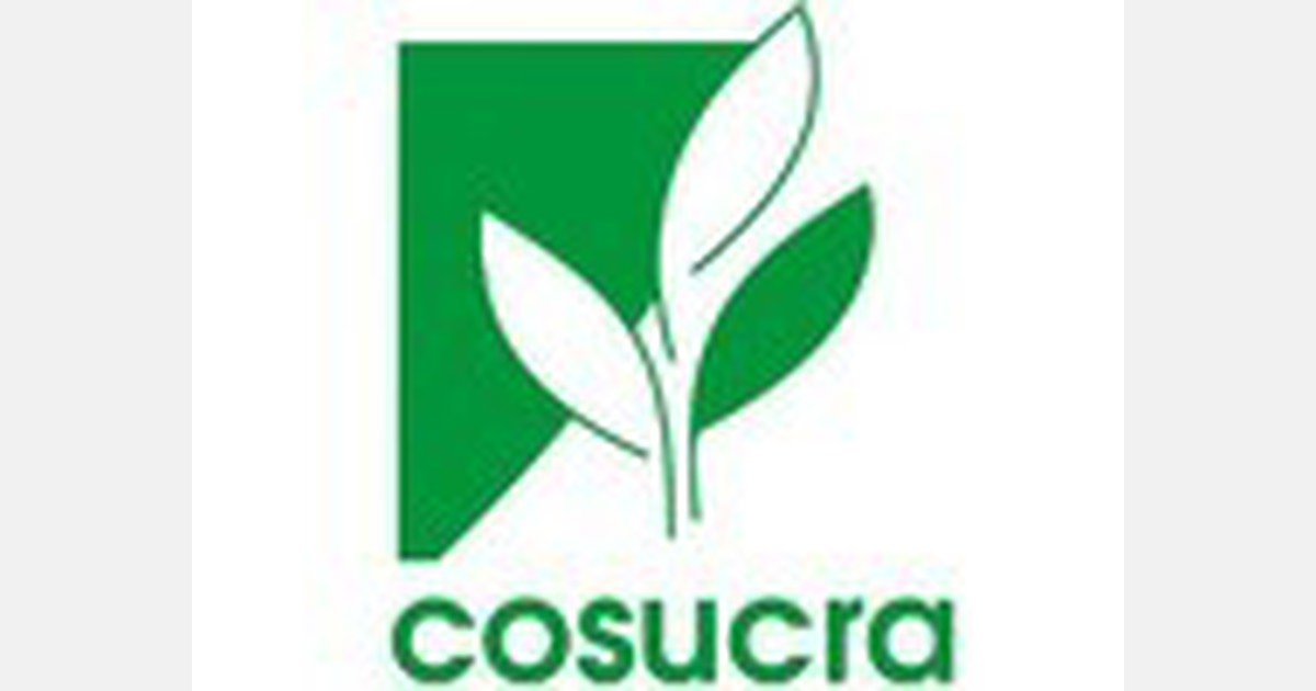 Coscura plans second pea processing plant