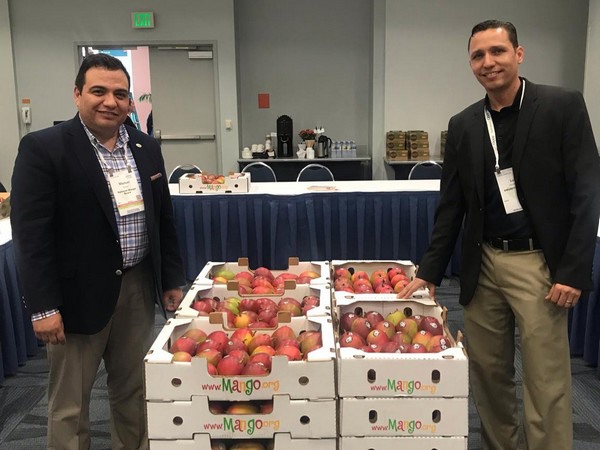 Smurfit Kappa partners with mango supply chain in US and Mexico