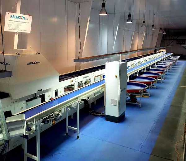 "Reemoon enters Chilean market for the first time"