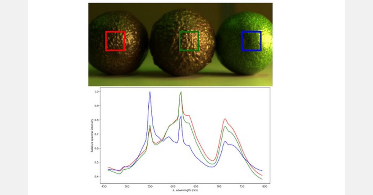 Computer vision identifies ripe fruit