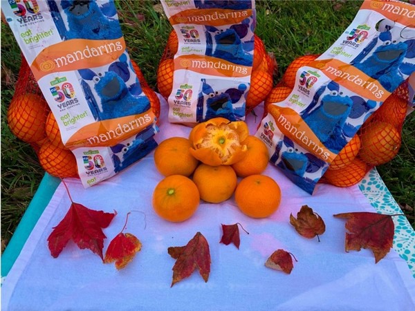 Limited time "Party Mode" Cookie Monster Mandarin packaging