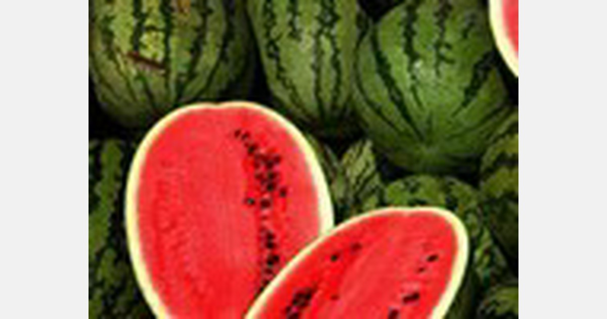 Study reveals more watermelon secrets