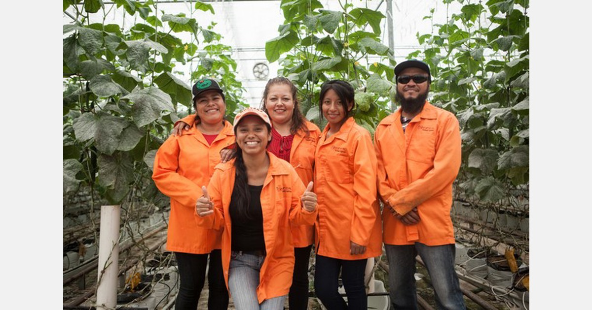 Research finds the EFI model helps improve working conditions