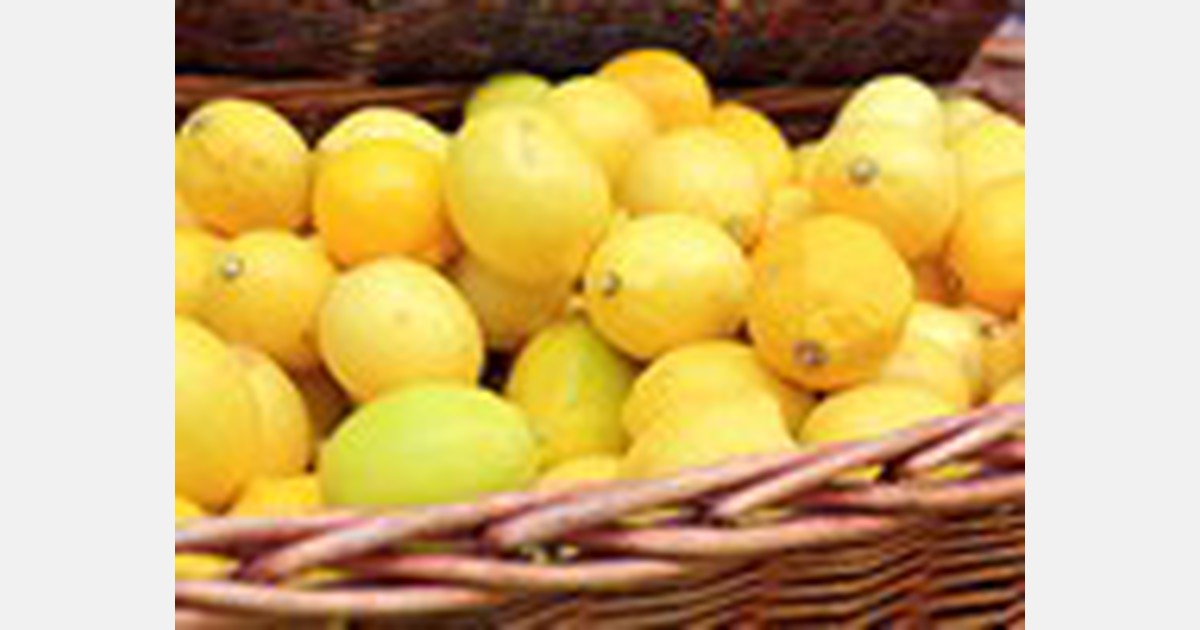 New line of ready-to-use lemonade bases introduced