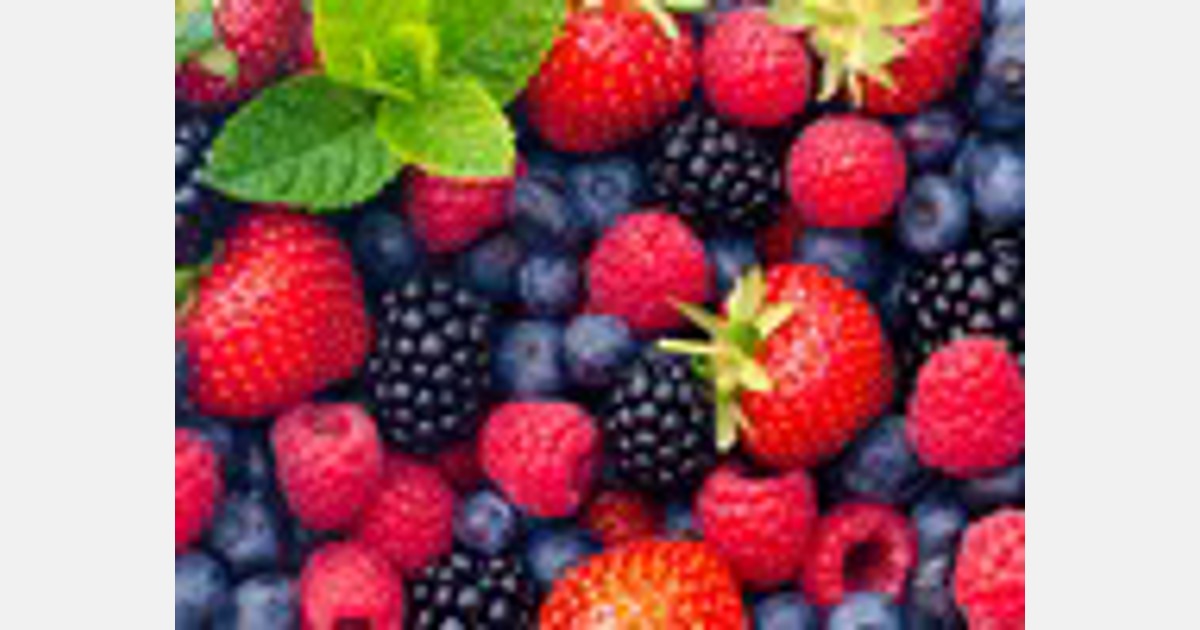 South Africa berry production set to grow 80%