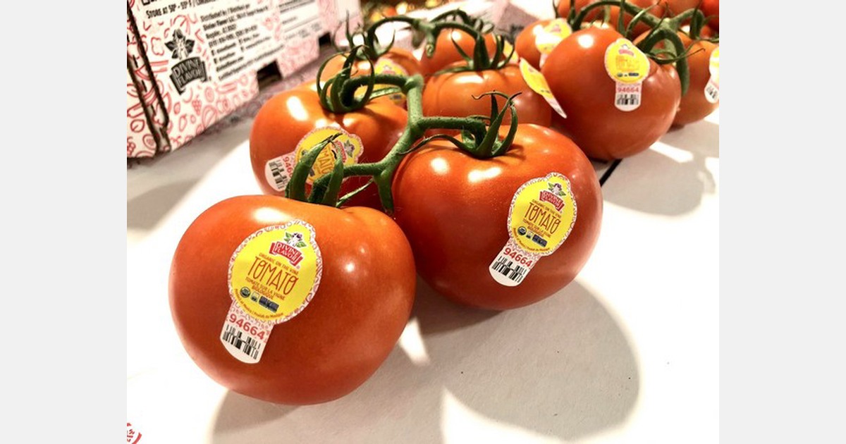 "We expect to see an increase of Roma and grape tomatoes this year”