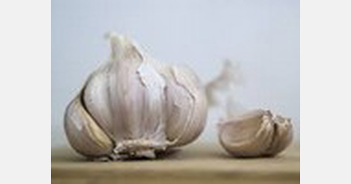 Rwandan garlic farmers to get Rwf1.3 bn processing plant