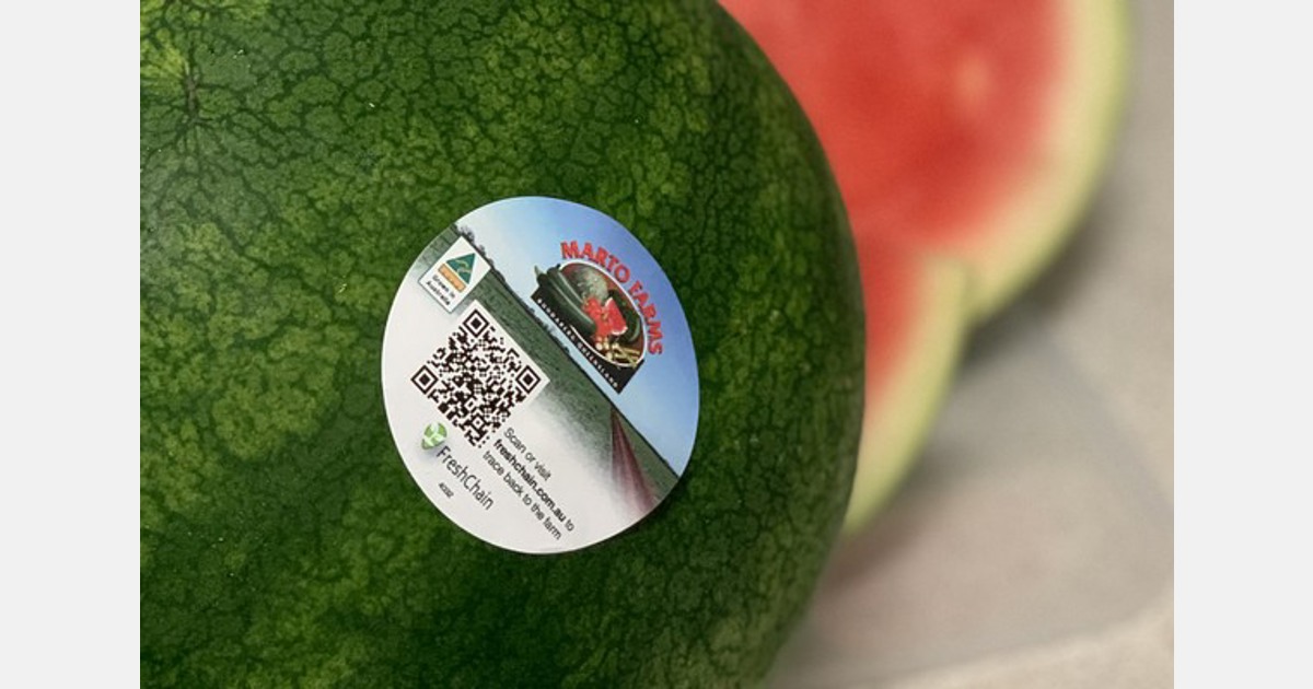 Australian watermelon traced from paddock to plate for first time