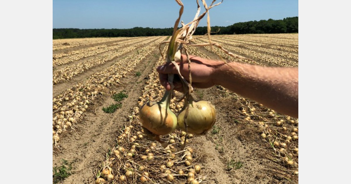 Generation Farms acquired by global agricultural company