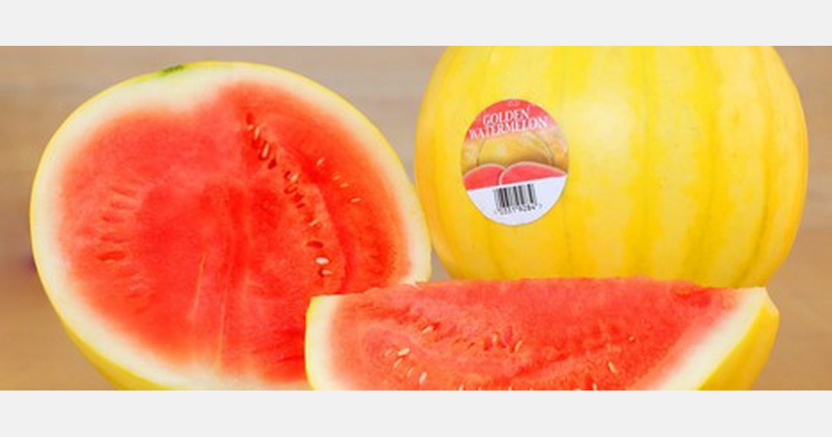 Rare golden skin watermelon goes on sale in time for Christmas
