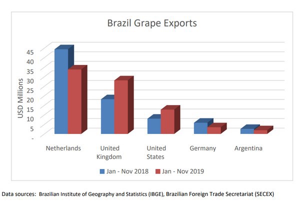 Brazil expands its grape-export destinations