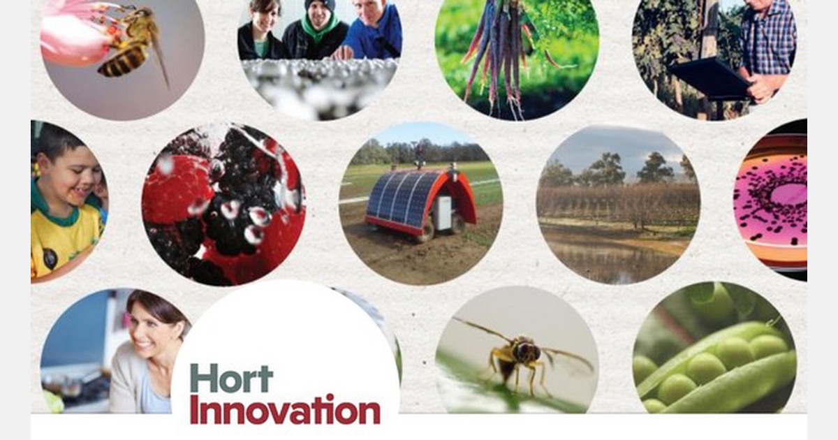 Hort Innovation closes decade with big wins for Australian growers