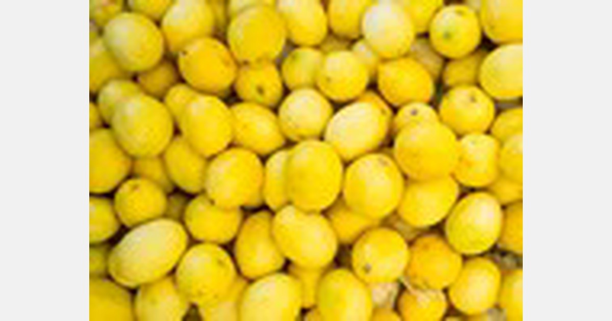 Limoneira Company achieves record revenue in FY 2019