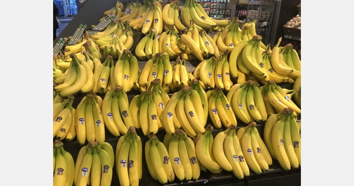 Banana costume to be featured on Fyffes stickers