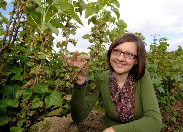 james hutton limited