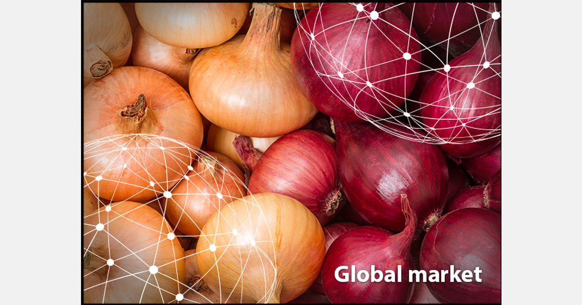 OVERVIEW GLOBAL ONION MARKET
