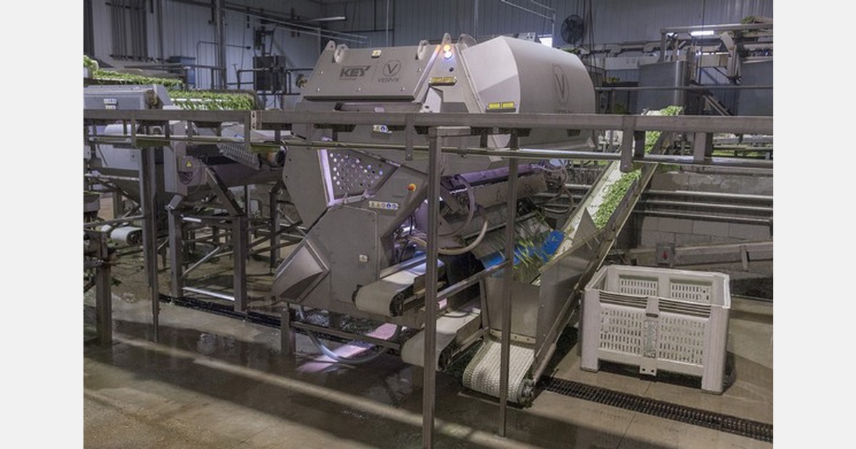 New integrated sorting system introduced for green bean processing