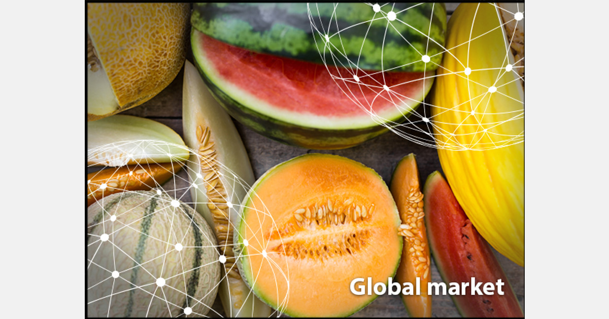 OVERVIEW GLOBAL MELON MARKET