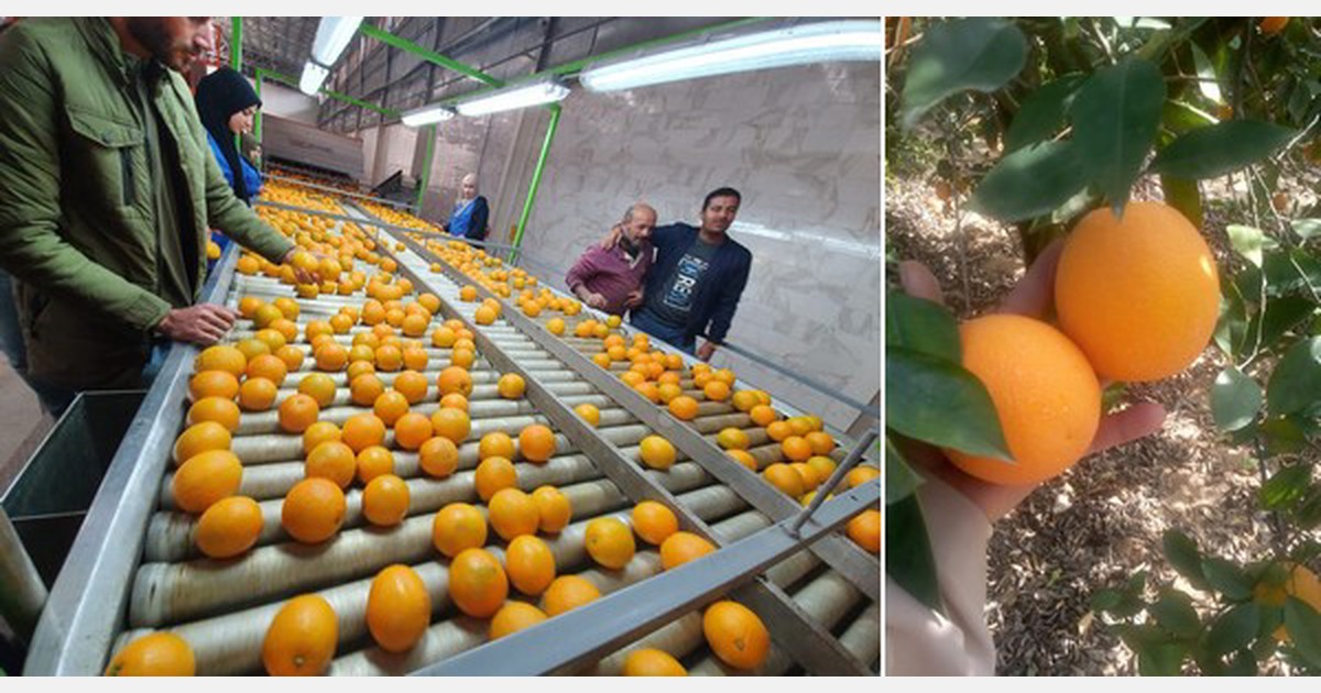 "We would love to export citrus to the United States"
