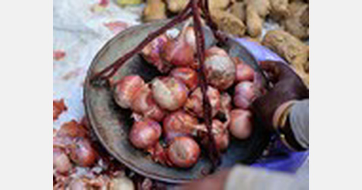 India: Federal government to grant ₹500 mln to create onion storage facilities