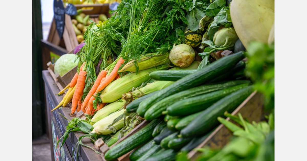 Lincolnshire produce companies pull together to supply care homes and ...