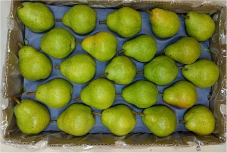 Uncertain future for pear imports