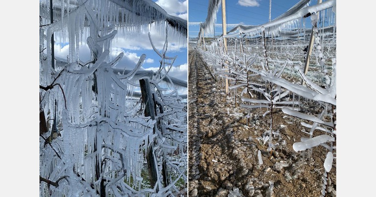 Poland receives first heavy frost of the year