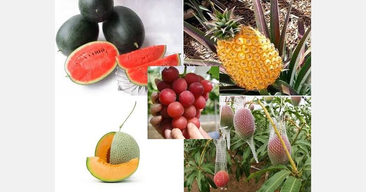 The 5 most expensive fruits in the world